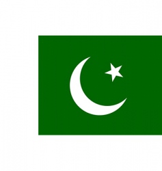 Square flag of pakistan Royalty Free Vector Image