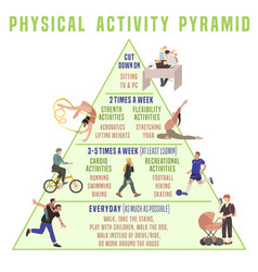 Physical activity pyramid infographic Royalty Free Vector