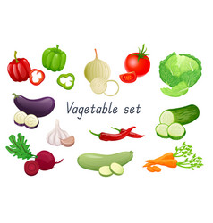 Realistic fresh carrot vegetable Royalty Free Vector Image