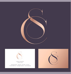 Double s monogram intertwined elements stars Vector Image