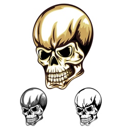 Skull color Royalty Free Vector Image - VectorStock