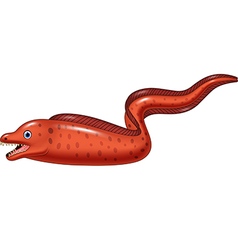 Moral eel Royalty Free Vector Image - VectorStock