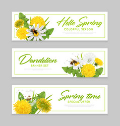 Botany dandelion logo herbal leaves flowers Vector Image