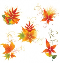 Autumn leaf design Royalty Free Vector Image - VectorStock