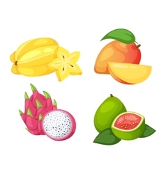 Tropical fruits set Royalty Free Vector Image - VectorStock
