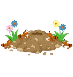 Interior and family life of ants in an anthill Vector Image