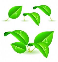 Realistic detailed 3d different green leaves set Vector Image