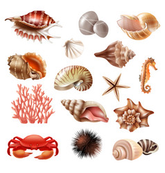 Realistic seashell and starfish icon set Vector Image
