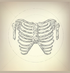 Skeleton scan Royalty Free Vector Image - VectorStock