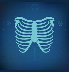 Skeleton scan Royalty Free Vector Image - VectorStock
