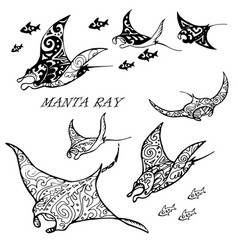 Manta ray and fish Royalty Free Vector Image - VectorStock