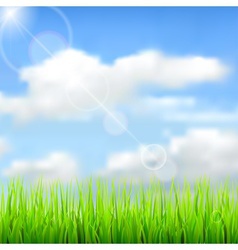 Green grass background Royalty Free Vector Image