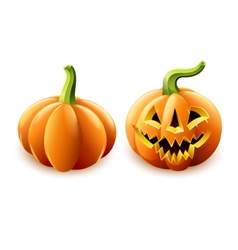 Pumpkin vegetable fruit isolated Royalty Free Vector Image
