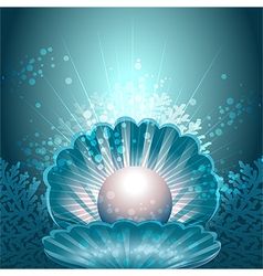 Open and closed shell box with white pearl Vector Image