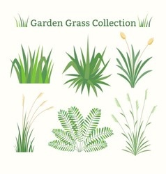 Grass set Royalty Free Vector Image - VectorStock