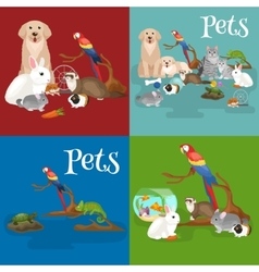 Home pets set cat dog parrot goldfish hamster Vector Image