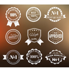 Quality sticker with gold ribbon Royalty Free Vector Image