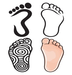 Foot arch types Royalty Free Vector Image - VectorStock