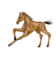 Horses - mare and foal Royalty Free Vector Image