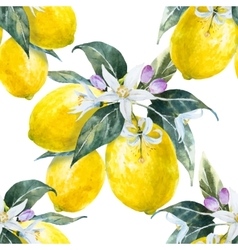 Lemon tree Royalty Free Vector Image - VectorStock