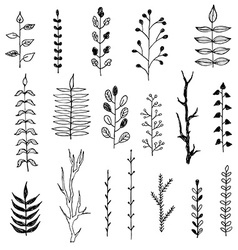 Doodle branches Royalty Free Vector Image - VectorStock
