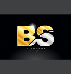 Combination letter sm s m alphabet with gold Vector Image