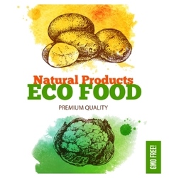 Eco food menu background Watercolor hand drawn Vector Image