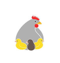 Laying hens chicken farm breeding hens birds Vector Image