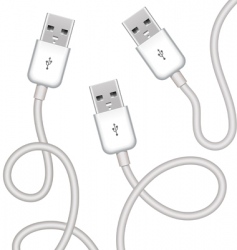 Usb type c Royalty Free Vector Image - VectorStock