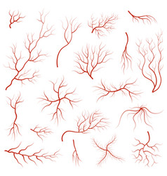 Cartoon vein blood set Royalty Free Vector Image