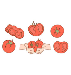 Fresh tomato cartoon Royalty Free Vector Image