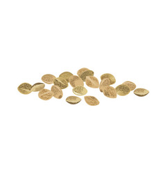 Hemp seeds Royalty Free Vector Image - VectorStock