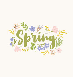 Spring word handwritten with elegant cursive Vector Image