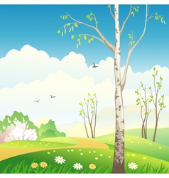 Forest landscape Royalty Free Vector Image - VectorStock