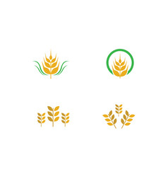 Wheat icon Royalty Free Vector Image - VectorStock