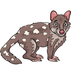 Tiger quoll animal cartoon Royalty Free Vector Image