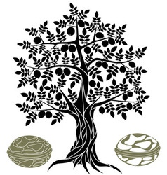 Walnut tree Royalty Free Vector Image - VectorStock
