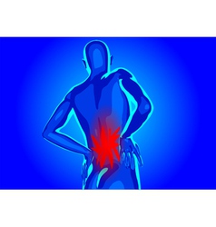 Physical therapy exercises for lower back pain Vector Image