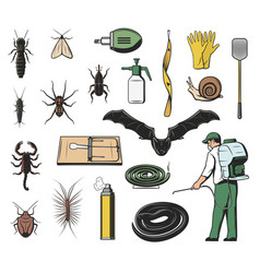 Spray killing insect Royalty Free Vector Image