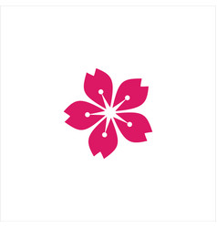 Sakura template design Royalty Free Vector Image