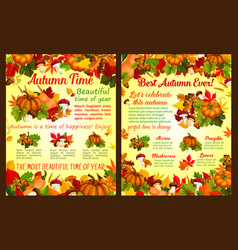 Fall festival poster of autumn harvest template Vector Image