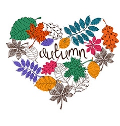 Heart from autumn leaves Royalty Free Vector Image