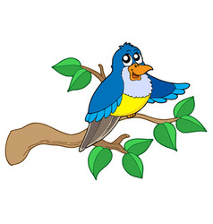 Two blue birds with tree branch Royalty Free Vector Image