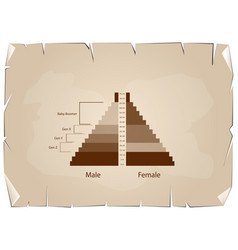 Population pyramids graphs with 4 generation Vector Image