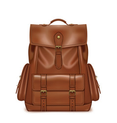 Vintage travel bag leather brown suitcase Vector Image