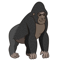 Cartoon silverback gorilla Royalty Free Vector Image