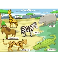 Educational game african savannah animals Vector Image