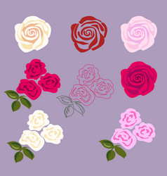 Set of roses Royalty Free Vector Image - VectorStock