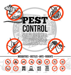 Pest and insect control icons set Royalty Free Vector Image