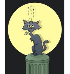Poor cat Royalty Free Vector Image - VectorStock